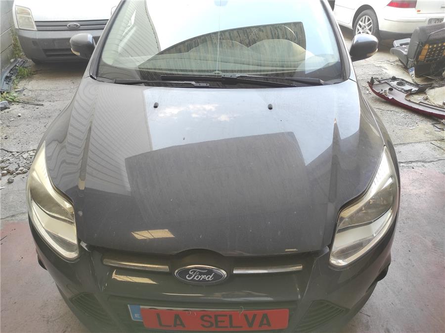 capo ford focus berlina business | Azeler Recambios