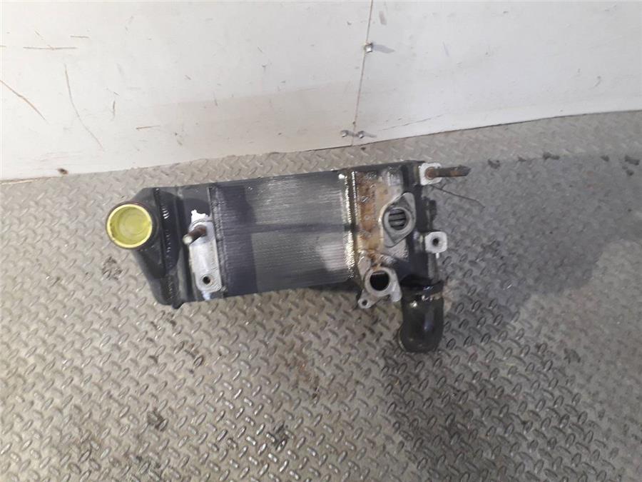 iveco enfriador aceite | Azeler Recambios